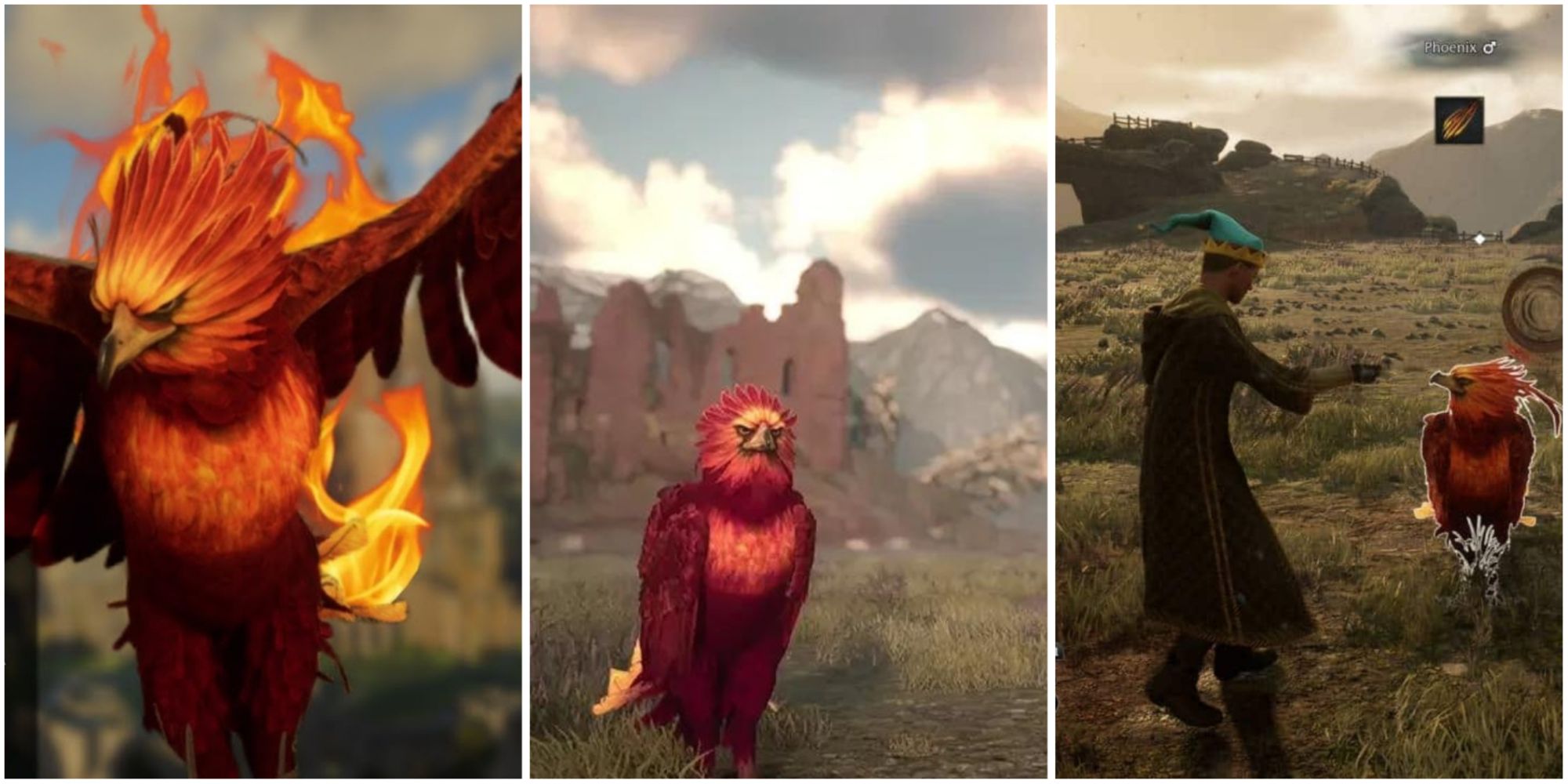 Hogwarts Legacy: How To Find And Catch Phoenix