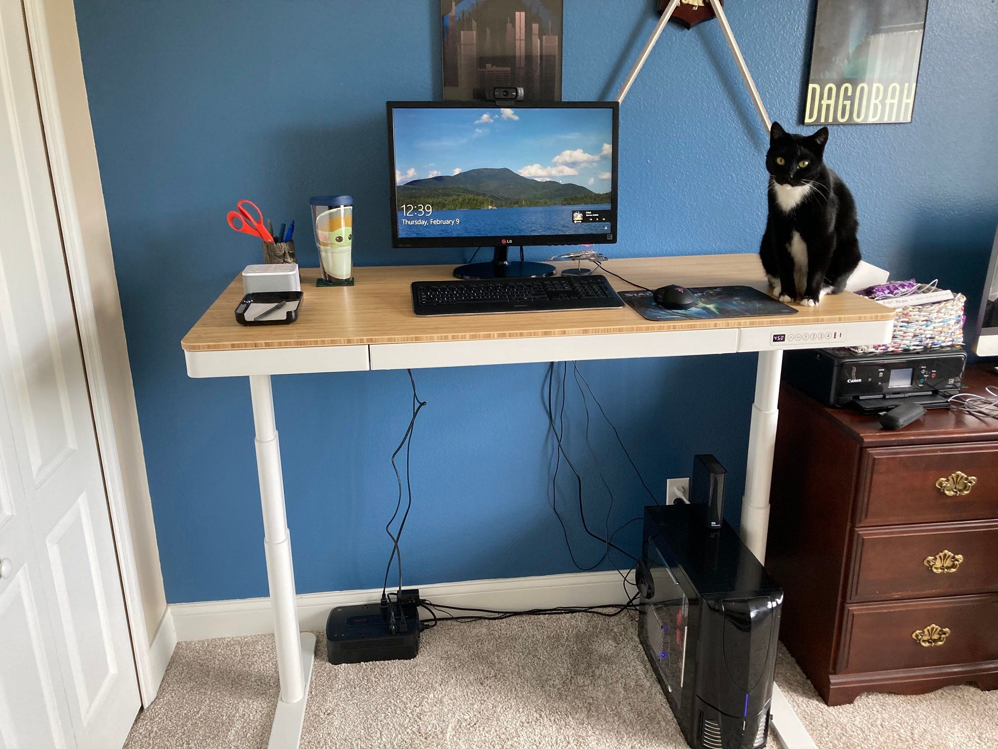 Comhar Standing Desk Pro Q8 Review