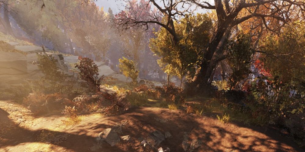 Fallout 76: 10 Best Camp Locations