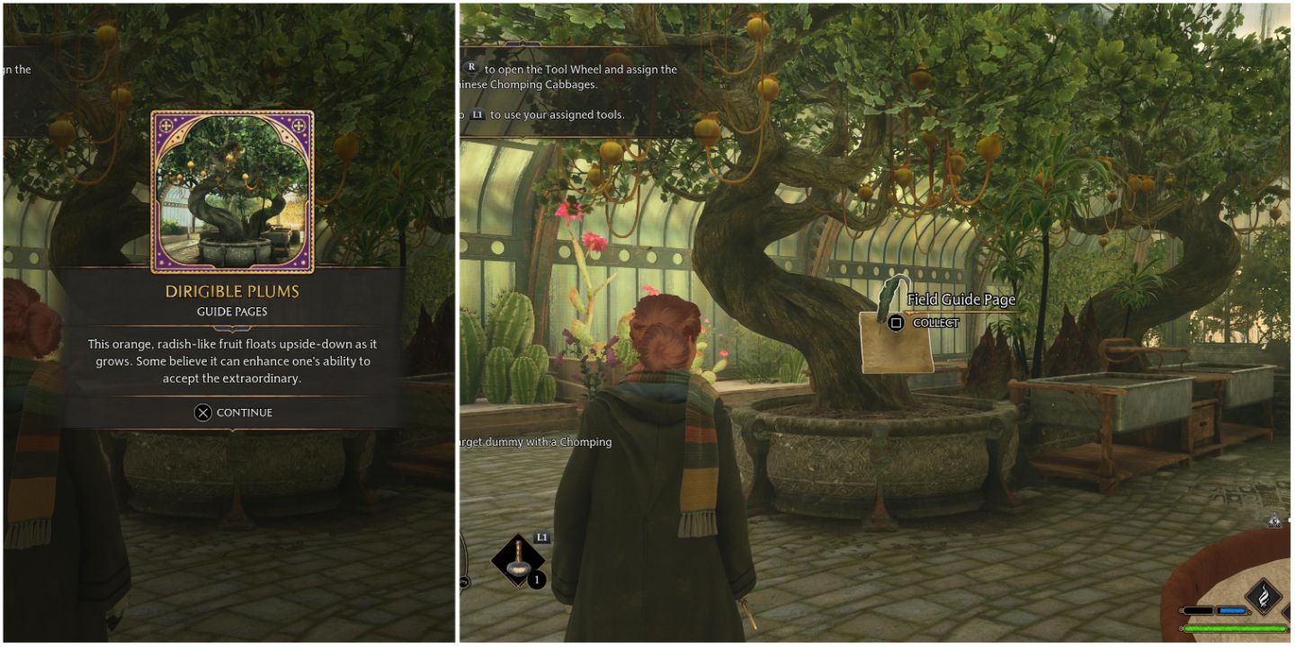 Hogwarts Legacy: Library Annex Field Guide Pages