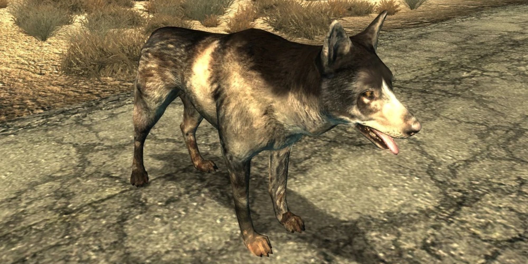 Fallout 3: Every Companion, Ranked