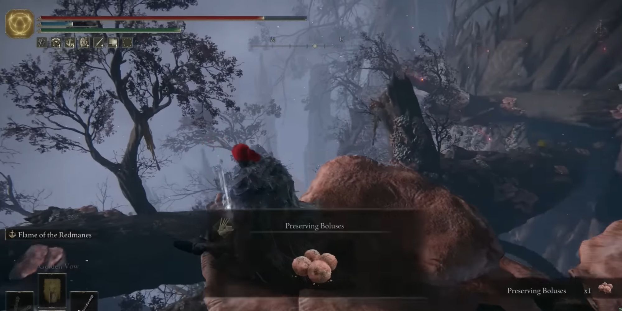 Elden Ring: Where To Get Preserving Boluses