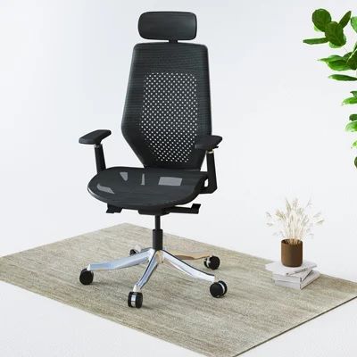 Ergonomic Chair Pro (OC14) Review - Highly Customizable Comfort