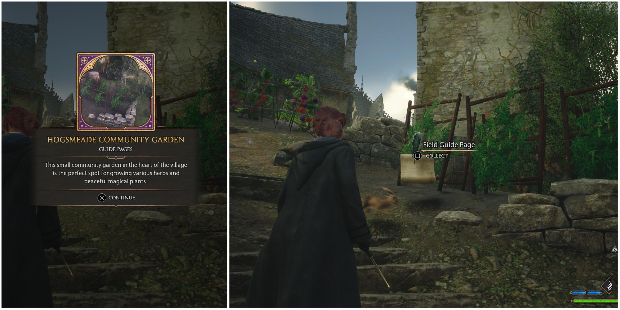 Hogwarts Legacy: Hogsmeade Field Guide Pages