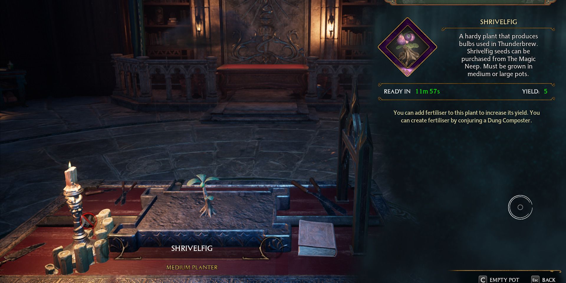 Hogwarts Legacy: Shrivelfig Fruit Location Guide