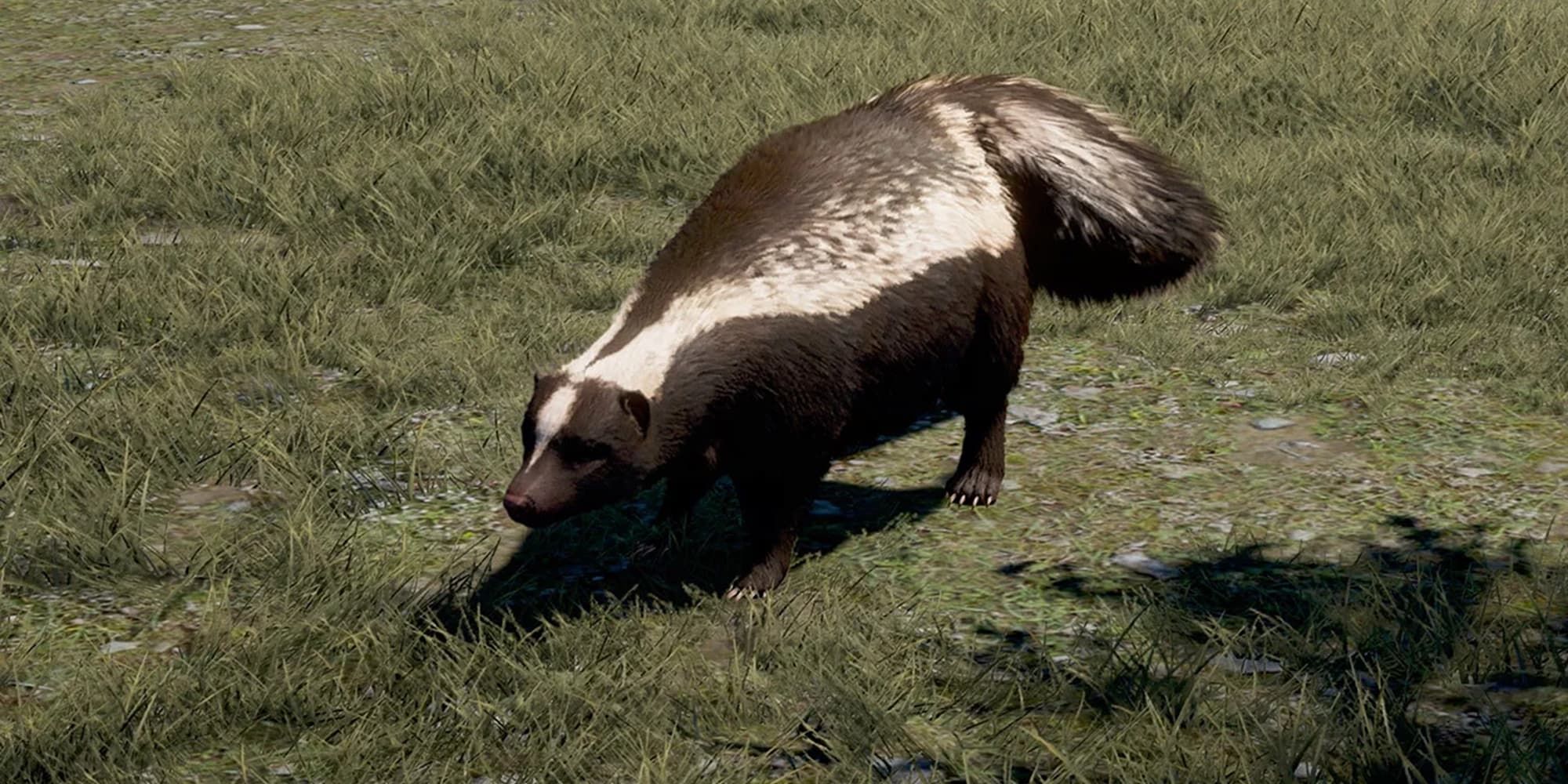Far Cry 5: Where To Find Skunks