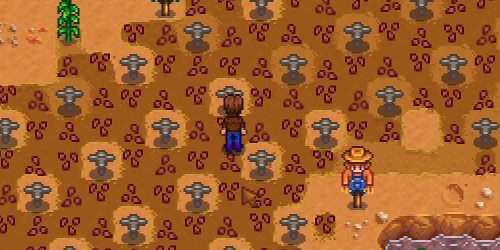 Stardew Valley: Best Ways To Water Your Farm