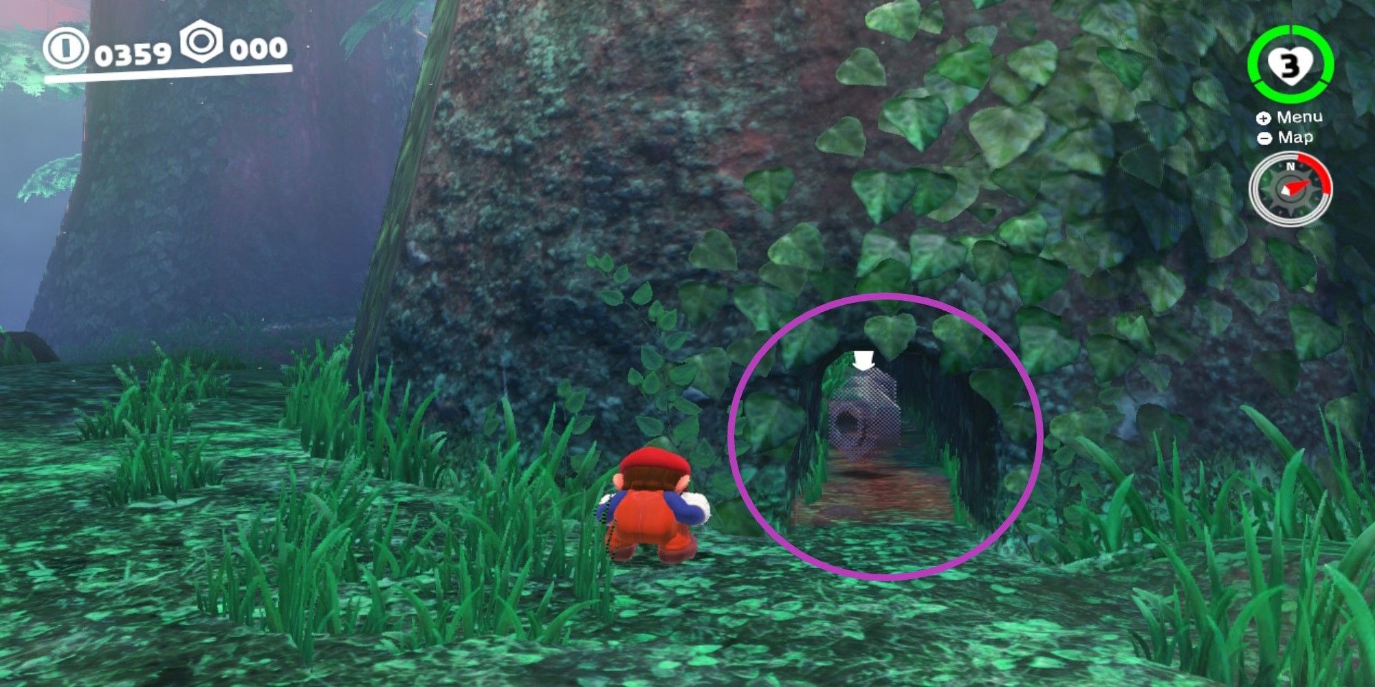 Super Mario Odyssey: All Purple Coins In The Wooded Kingdom