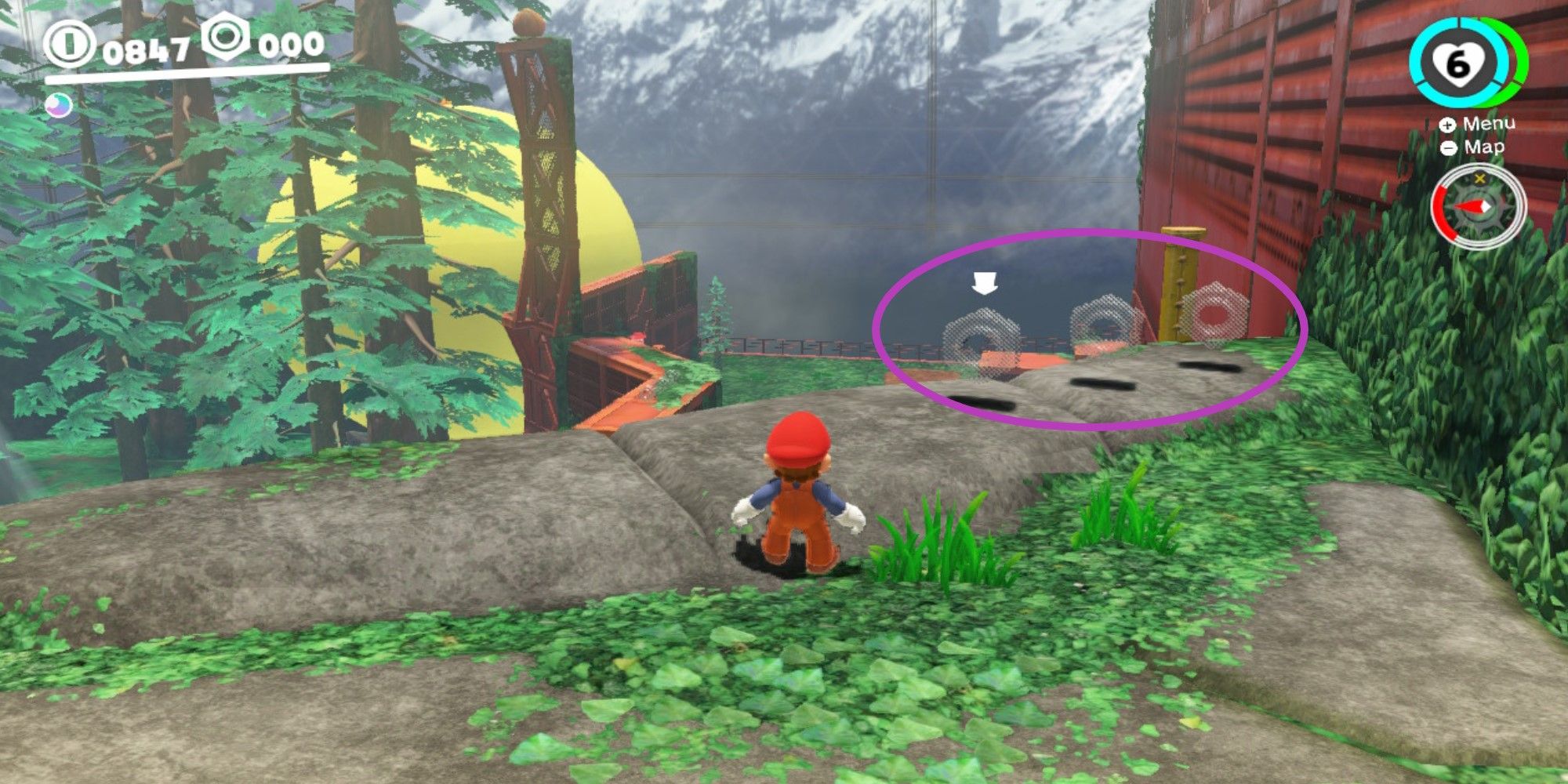 Super Mario Odyssey: All Purple Coins In The Wooded Kingdom