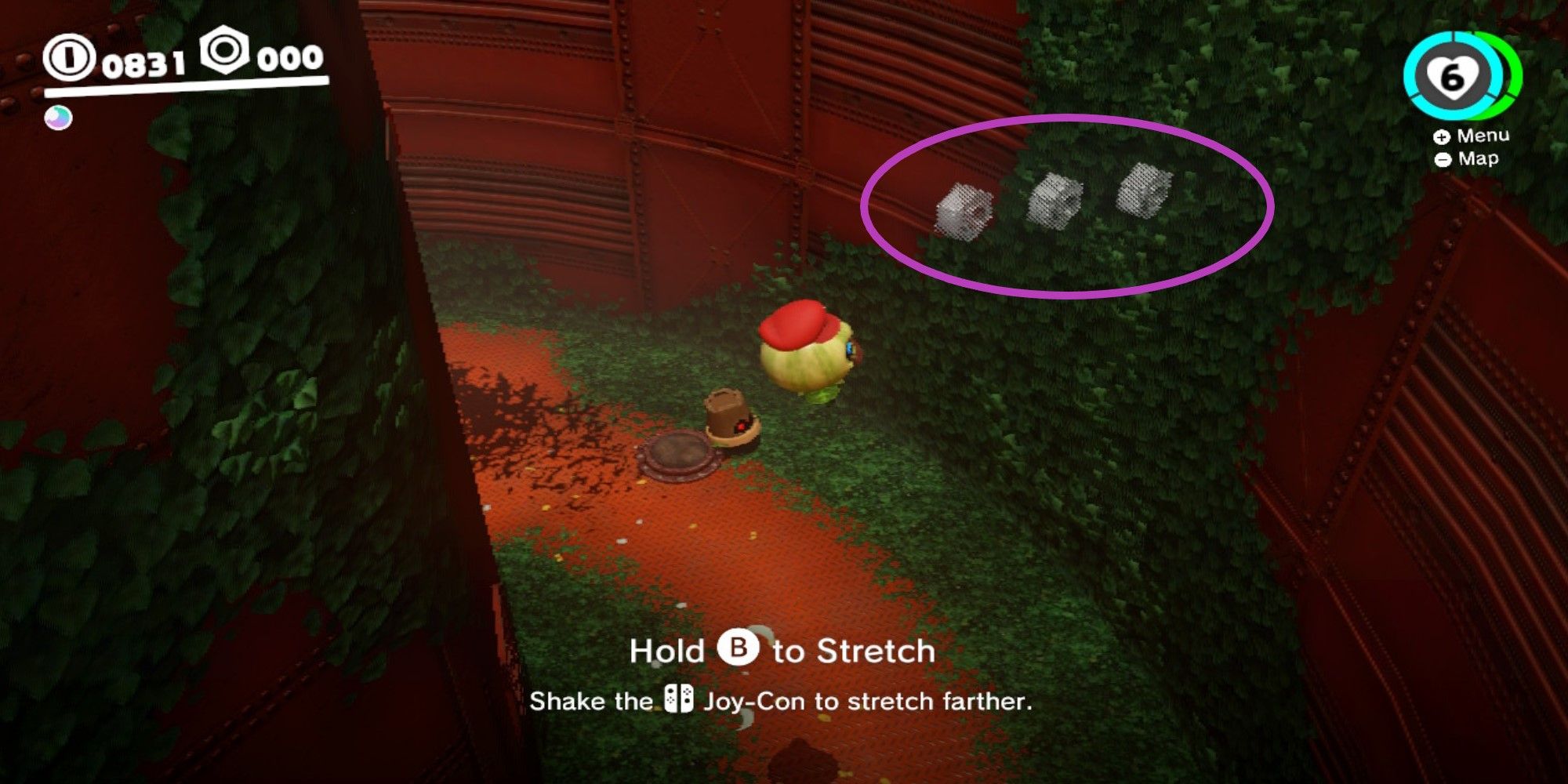 Super Mario Odyssey: All Purple Coins In The Wooded Kingdom