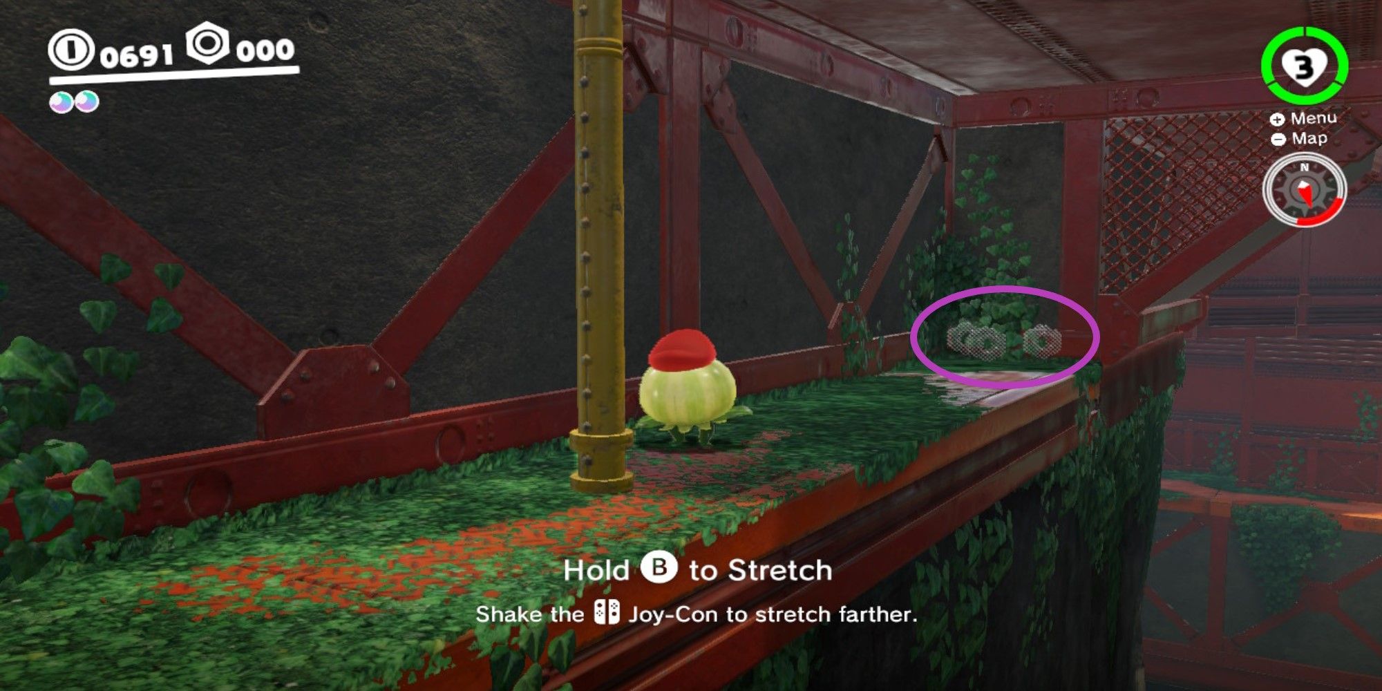 Super Mario Odyssey: All Purple Coins In The Wooded Kingdom