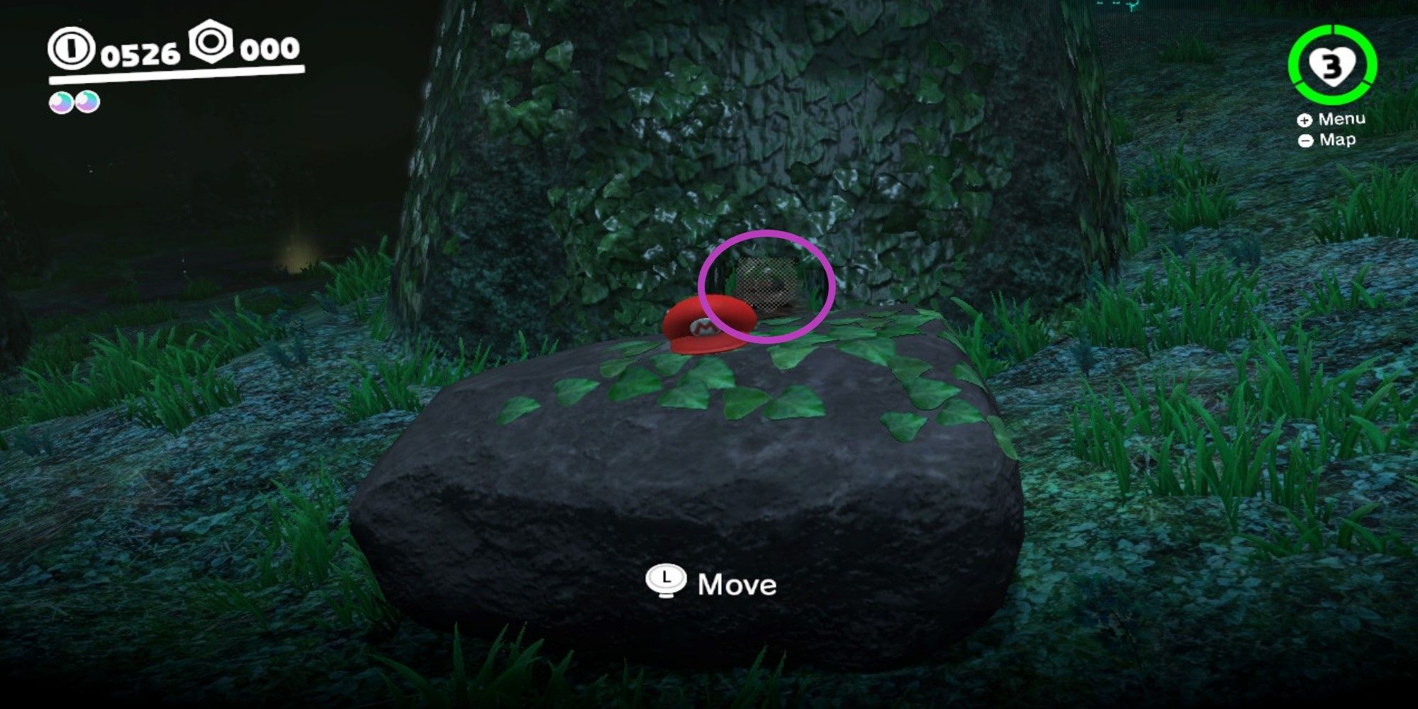 Super Mario Odyssey: All Purple Coins In The Wooded Kingdom