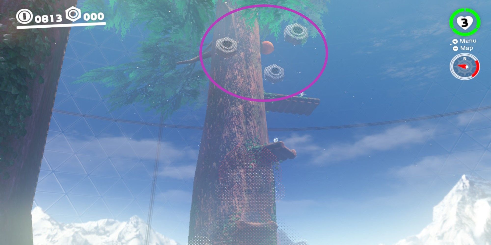 Super Mario Odyssey: All Purple Coins In The Wooded Kingdom