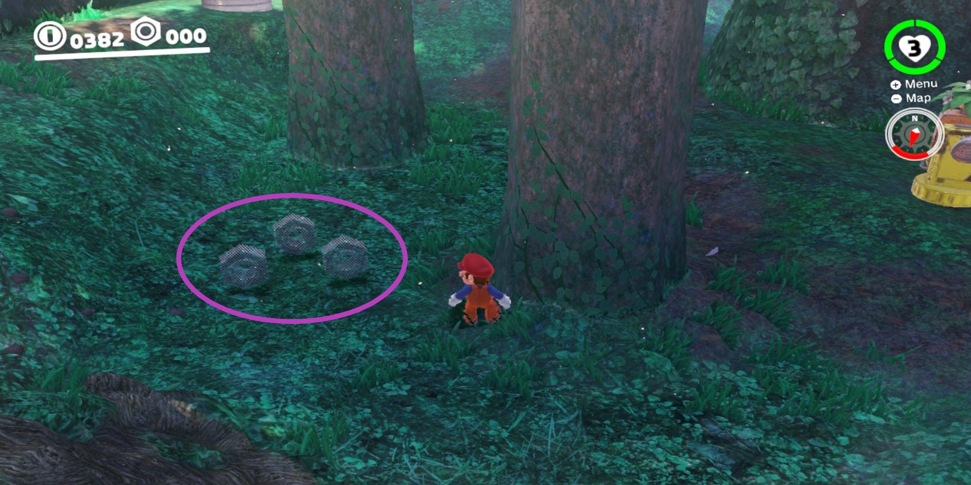 Super Mario Odyssey: All Purple Coins In The Wooded Kingdom