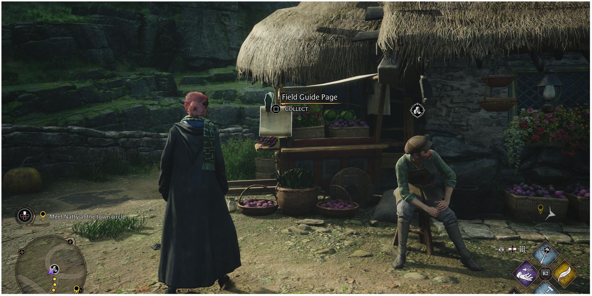 Hogwarts Legacy: Hogsmeade Field Guide Pages