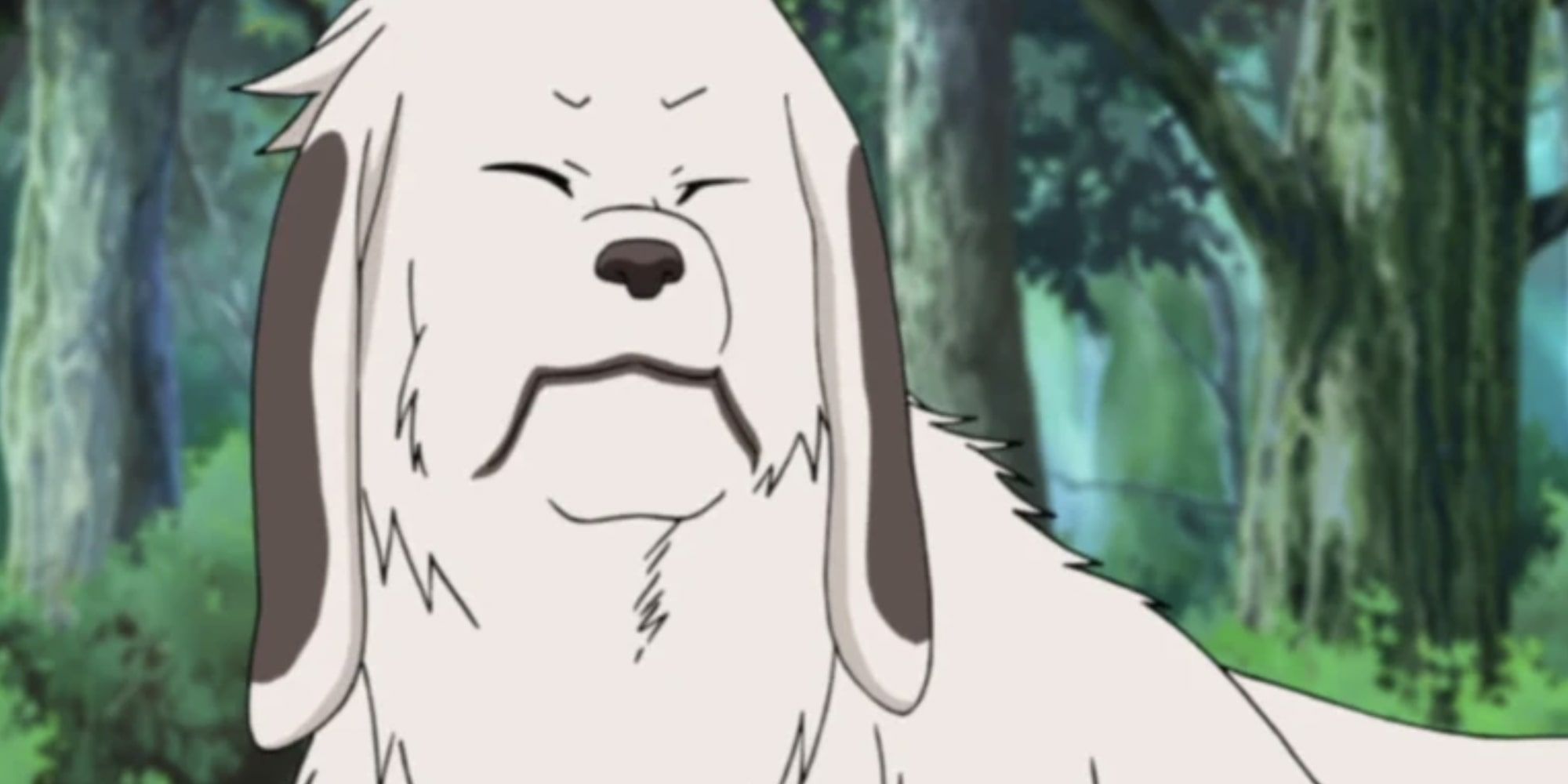 10 Best Animal Companions In Anime