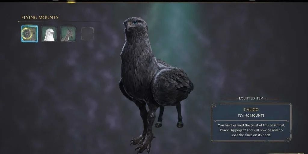 Mount Types Hogwarts Legacy at Teresa Cochran blog