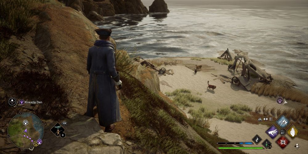 Kneazle Images