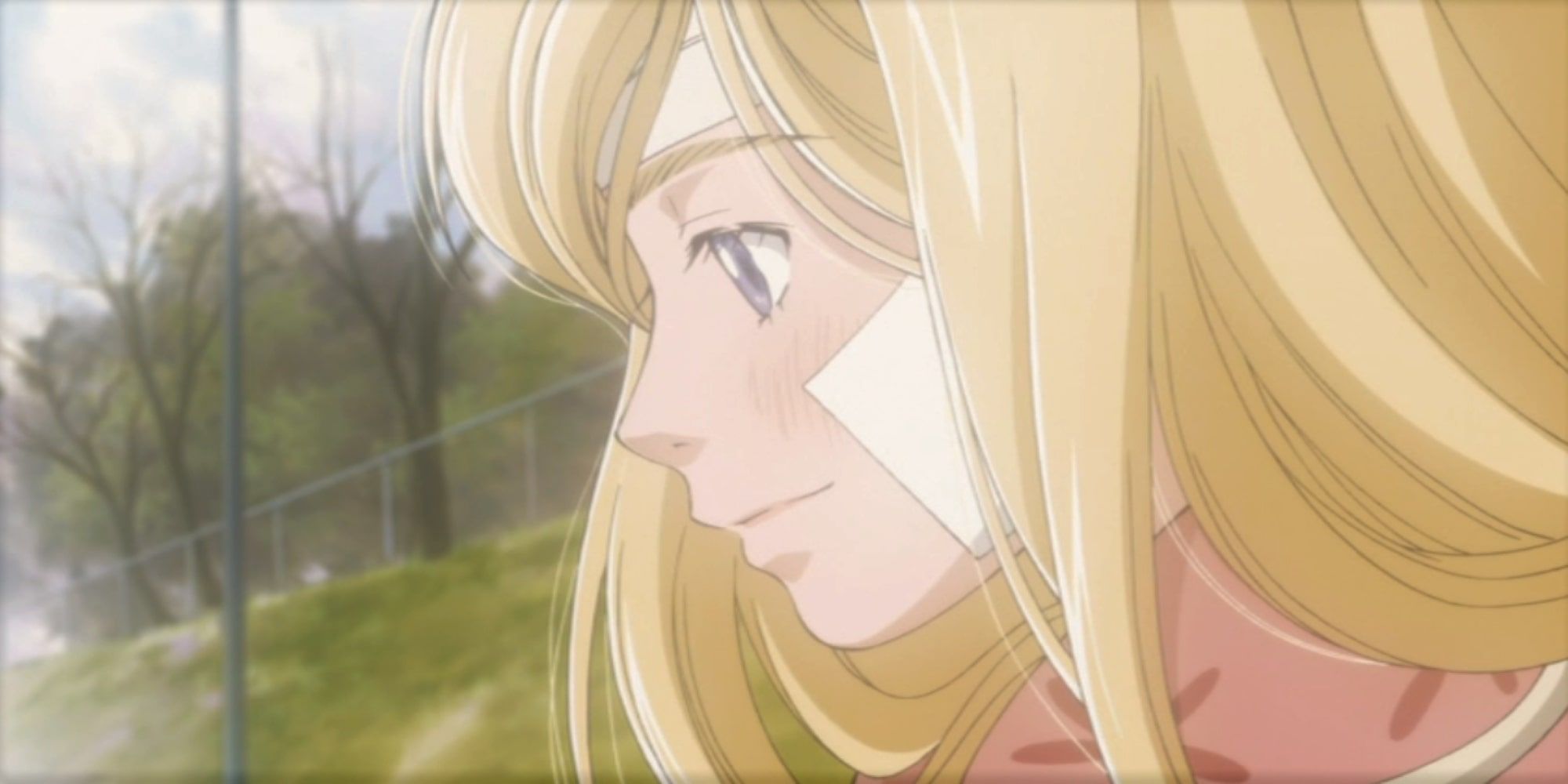 10 Best Josei Anime, Officially Ranked