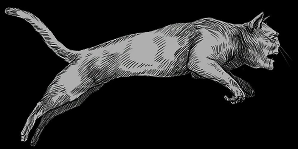 10 Best Traits in Hunt: Showdown