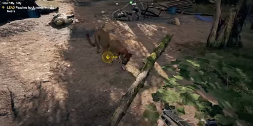 How To Get Peaches Treats Far Cry 5 at Roger Monday blog