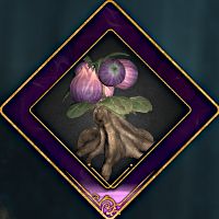 Hogwarts Legacy: Plants Guide