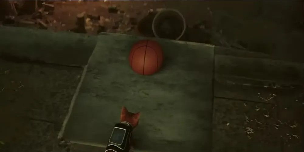 Secrets Easter Eggs Hidden Players Missed Stray