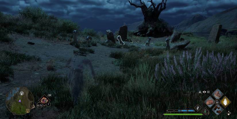 Hogwarts Legacy: How To Catch A Mooncalf