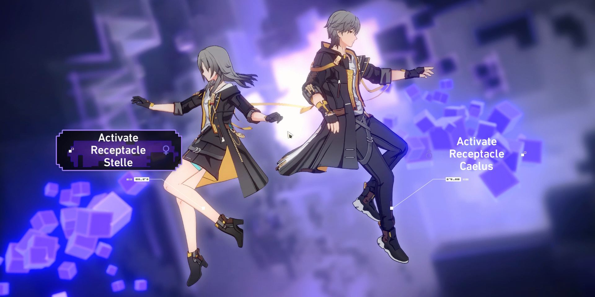 Honkai Star Rail: Should You Choose Stelle Or Caelus?