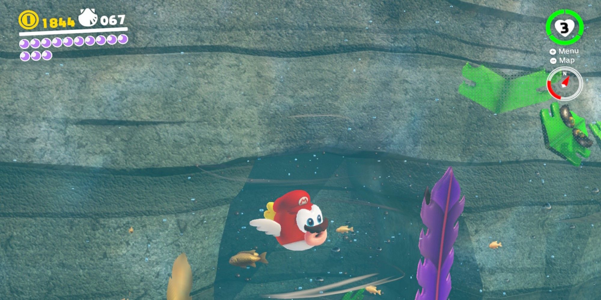 Super Mario Odyssey: All Purple Coins In The Seaside Kingdom