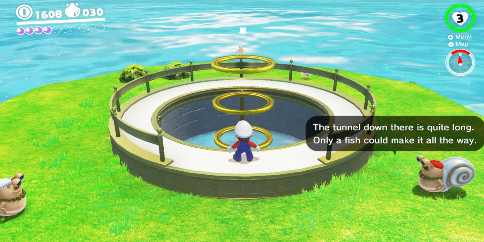 Super Mario Odyssey: All Purple Coins In The Seaside Kingdom