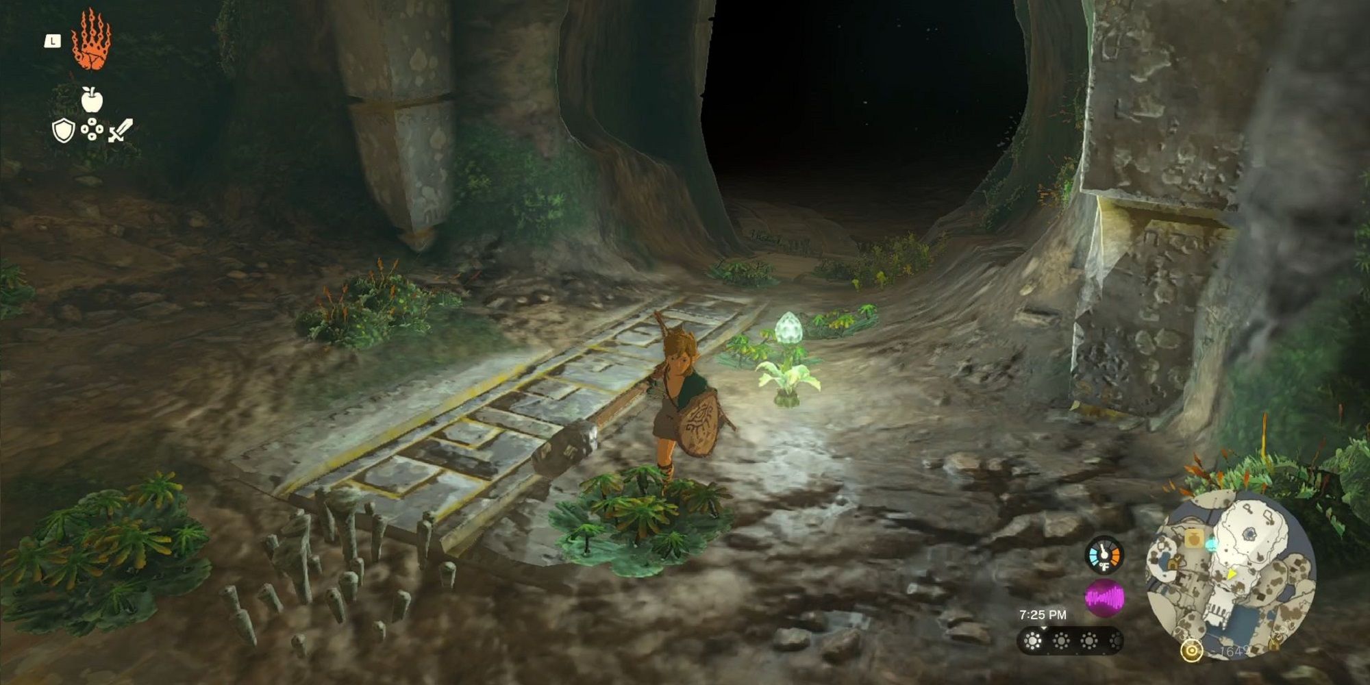 Tears Of The Kingdom: How To Use Brightbloom Seed