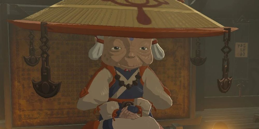 The Legend Of Zelda: Tears Of The Kingdom - Main Characters Overview