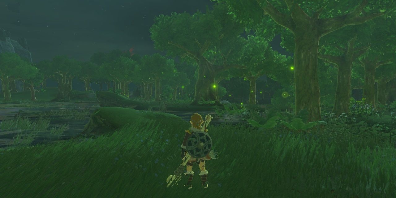 Tears Of The Kingdom: Where To Get Sunset Fireflies