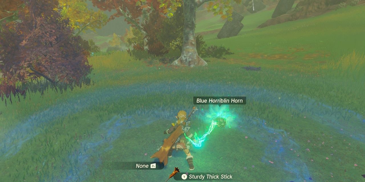 Tears Of The Kingdom: How To Use Fusion Ability