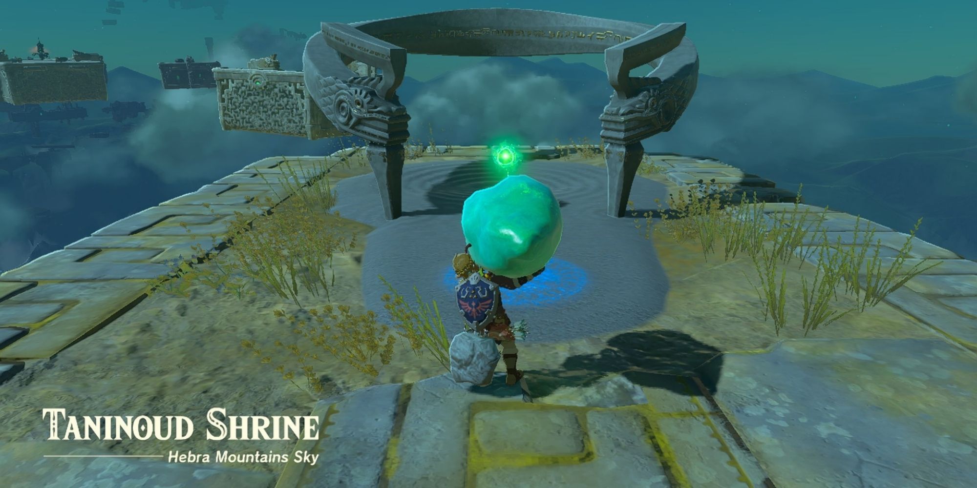 Tears Of The Kingdom: Taninuod Shrine Guide