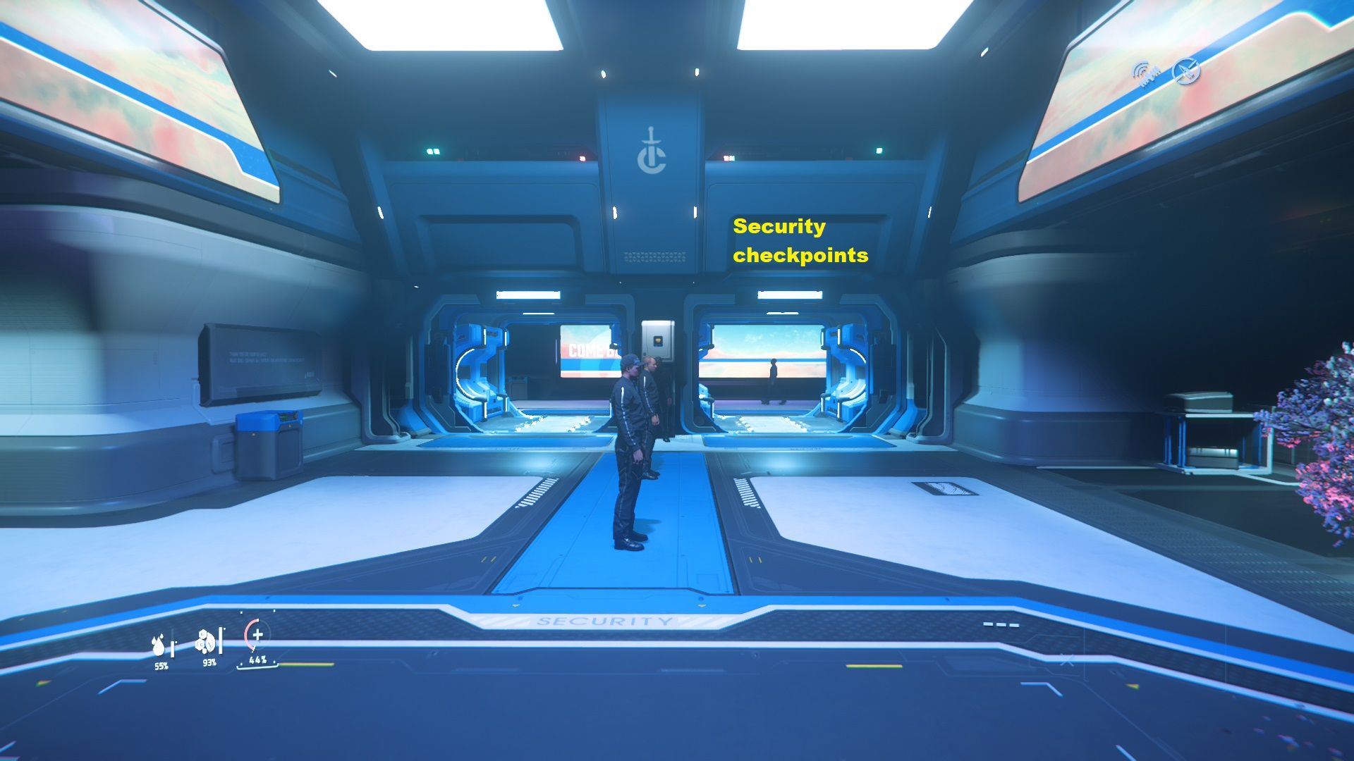 Star Citizen: How To Get Your Ship