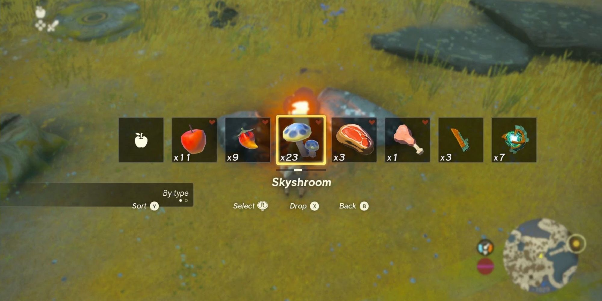 Zelda: Tears Of The Kingdom - How To Roast & Cook