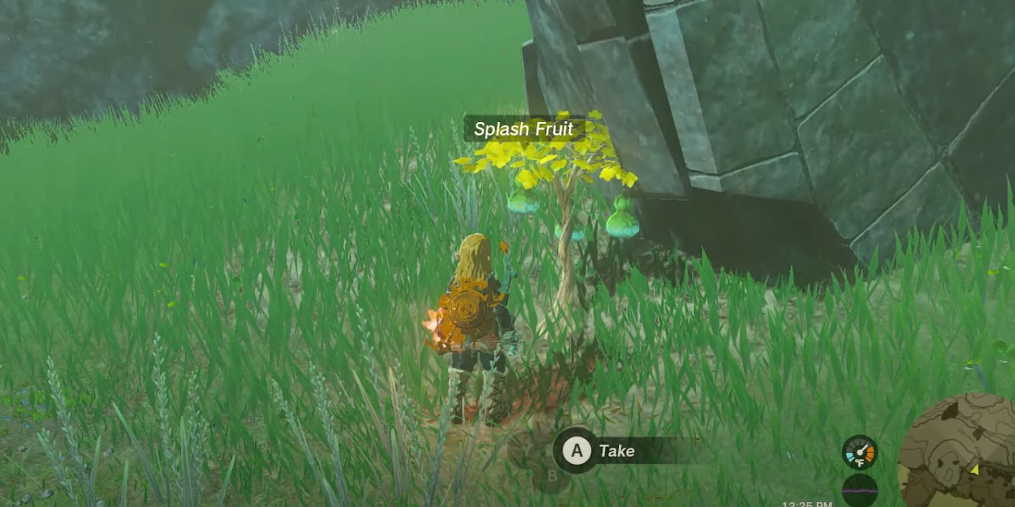 Tears Of The Kingdom The Sludge-Covered Statue Quest Walkthrough