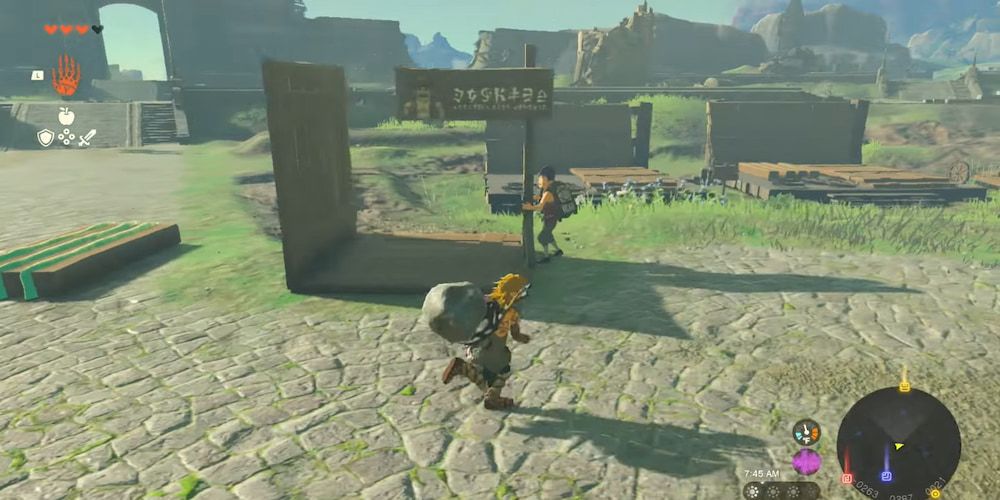 Tears Of The Kingdom - How To Support Hudson Signs