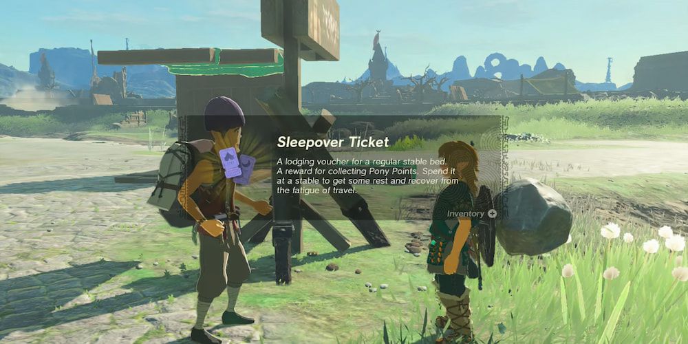 Tears Of The Kingdom - How To Support Hudson Signs