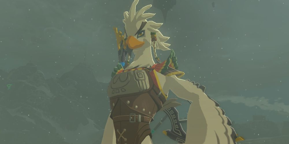 The Legend Of Zelda: Tears Of The Kingdom - Main Characters Overview