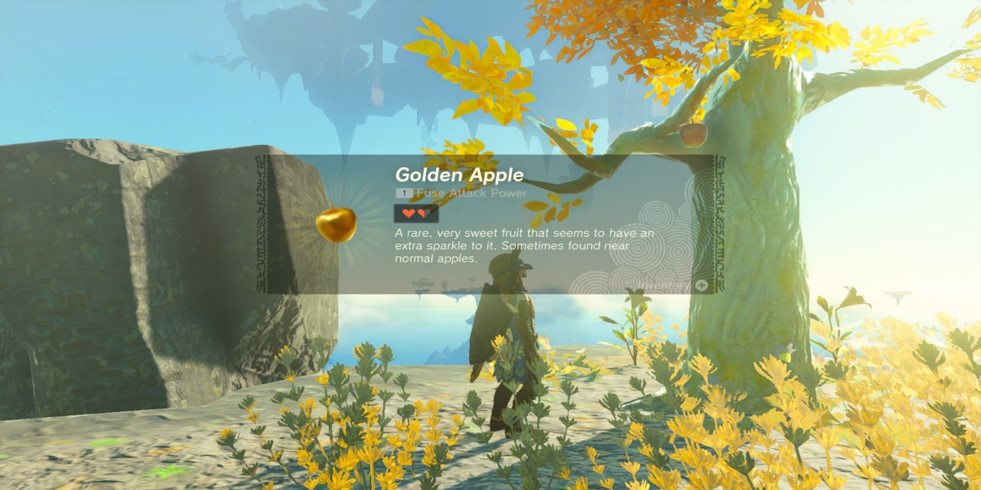 Tears Of The Kingdom - How To Find And Use Golden Apples