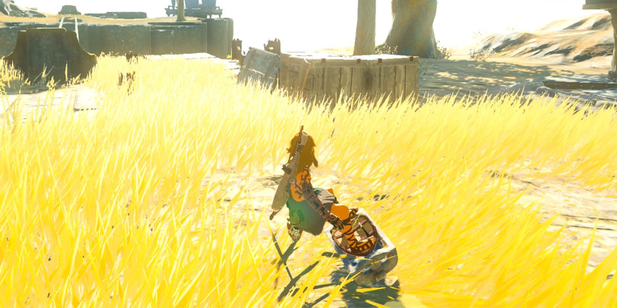 Tears Of The Kingdom - How To Shield Surf