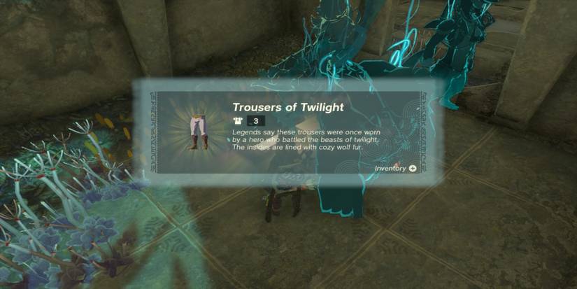 Tears Of The Kingdom - Armor Of Twilight Set Location