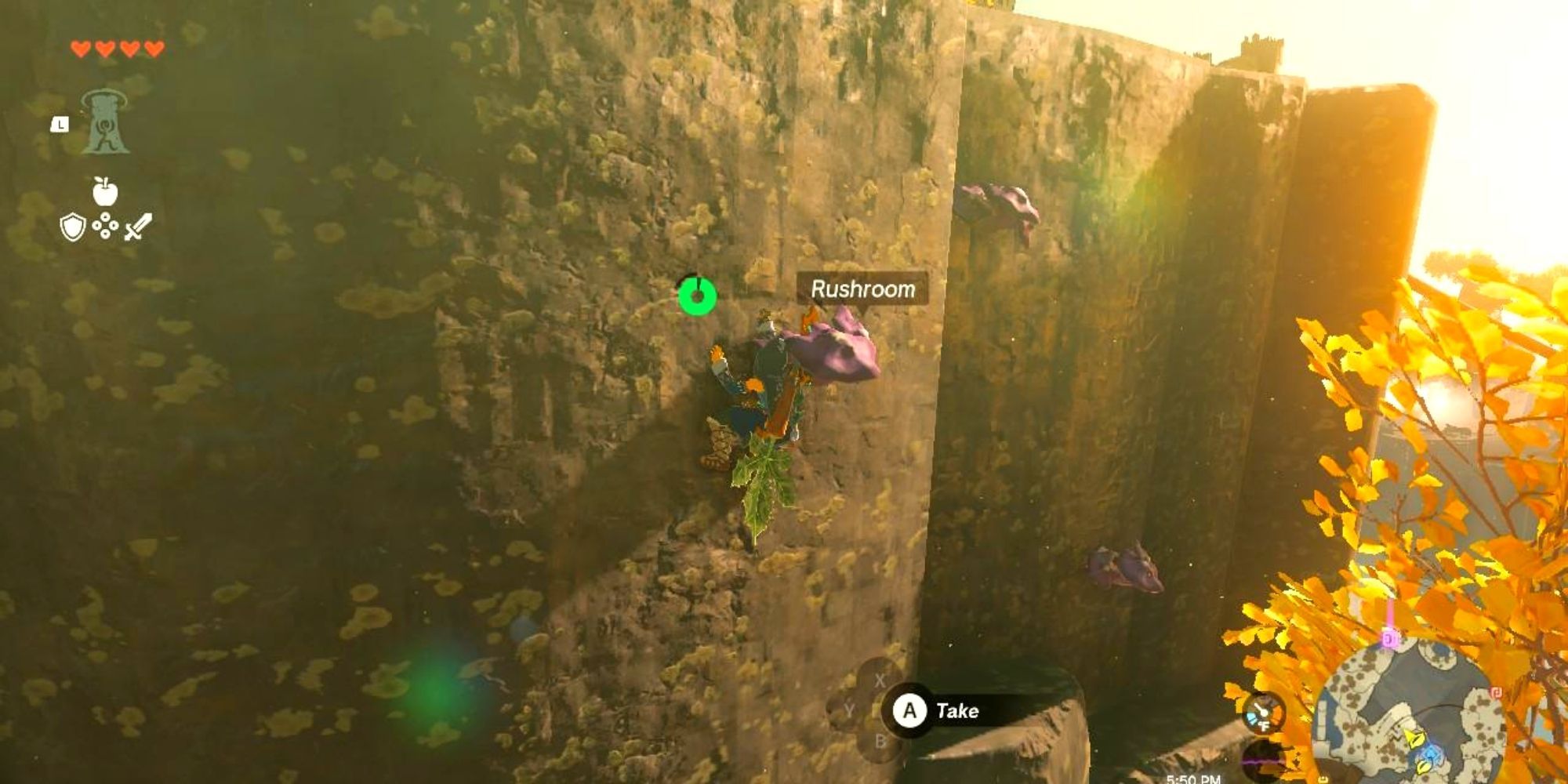 Tears Of The Kingdom: Where To Find Rushrooms