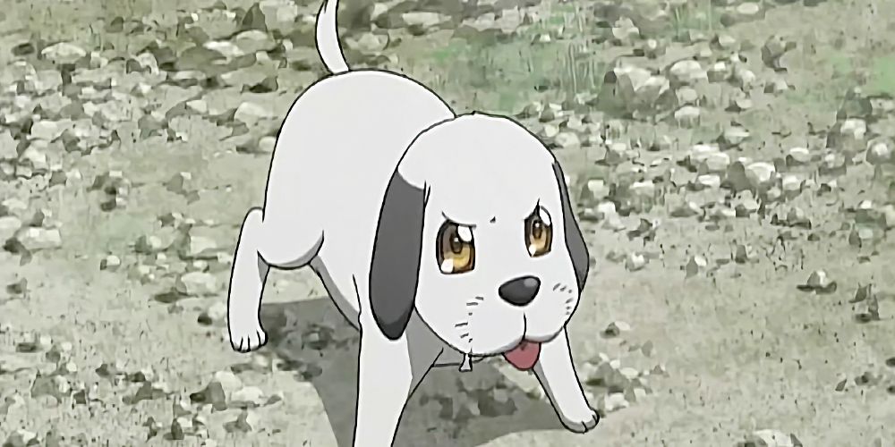 Highschool Of The Dead: 10 Best Characters, Ranked