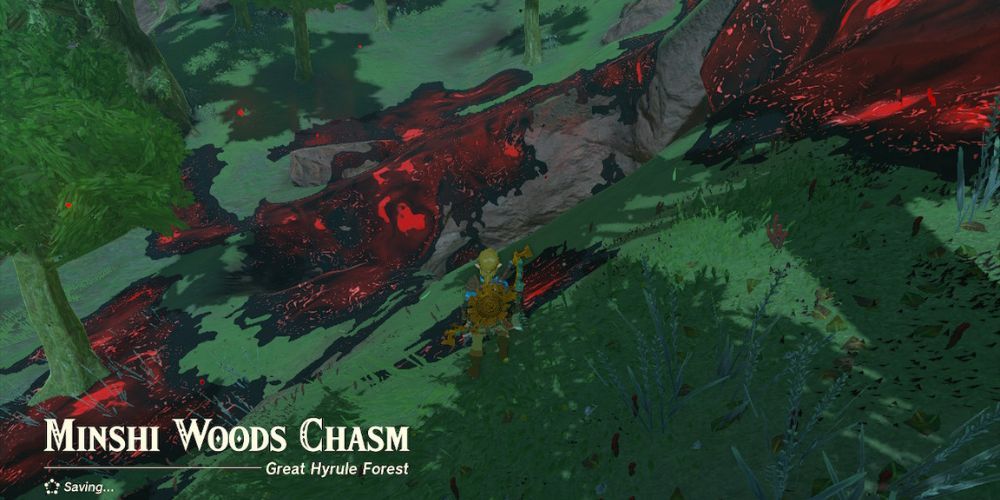 Tears Of The Kingdom - How To Find And Use Golden Apples