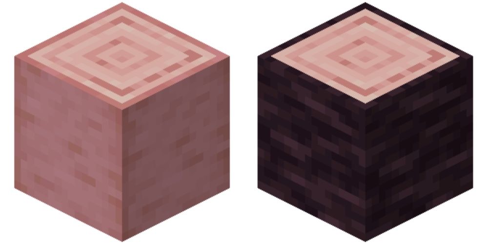 Minecraft: All New Trails & Tales Blocks And Where To Find Them