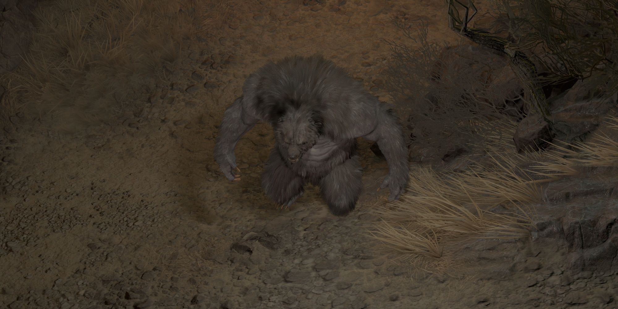 Diablo 4: Best Druid Builds